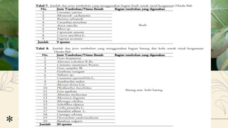 PPT ETNO SUNDA KECIL.pptx