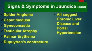 evaluation of jaundice | PPTX