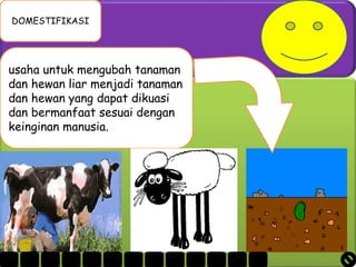 Ppt evolusi Domestikasi,Modifikasi Dan Variasi Serta Ketergantungan ...