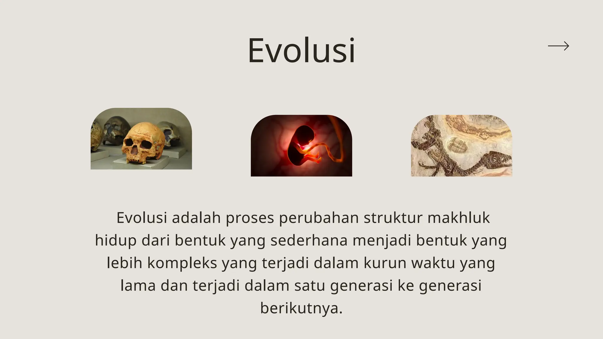 PPT EVOLUSI, PERKEMBANGAN TEORI EVOLUSI SEBELUM TEORI DARWIN, MACAM ...