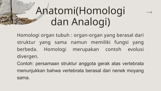 PPT EVOLUSI, PERKEMBANGAN TEORI EVOLUSI SEBELUM TEORI DARWIN, MACAM ...