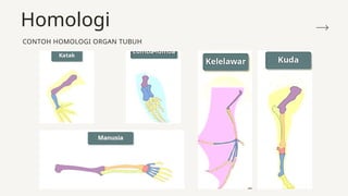 PPT EVOLUSI, PERKEMBANGAN TEORI EVOLUSI SEBELUM TEORI DARWIN, MACAM ...