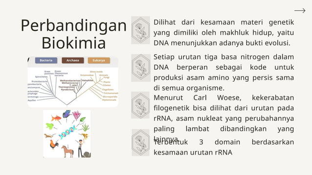 PPT EVOLUSI, PERKEMBANGAN TEORI EVOLUSI SEBELUM TEORI DARWIN, MACAM MACAM EVOLUSI, PETUNJUK ...