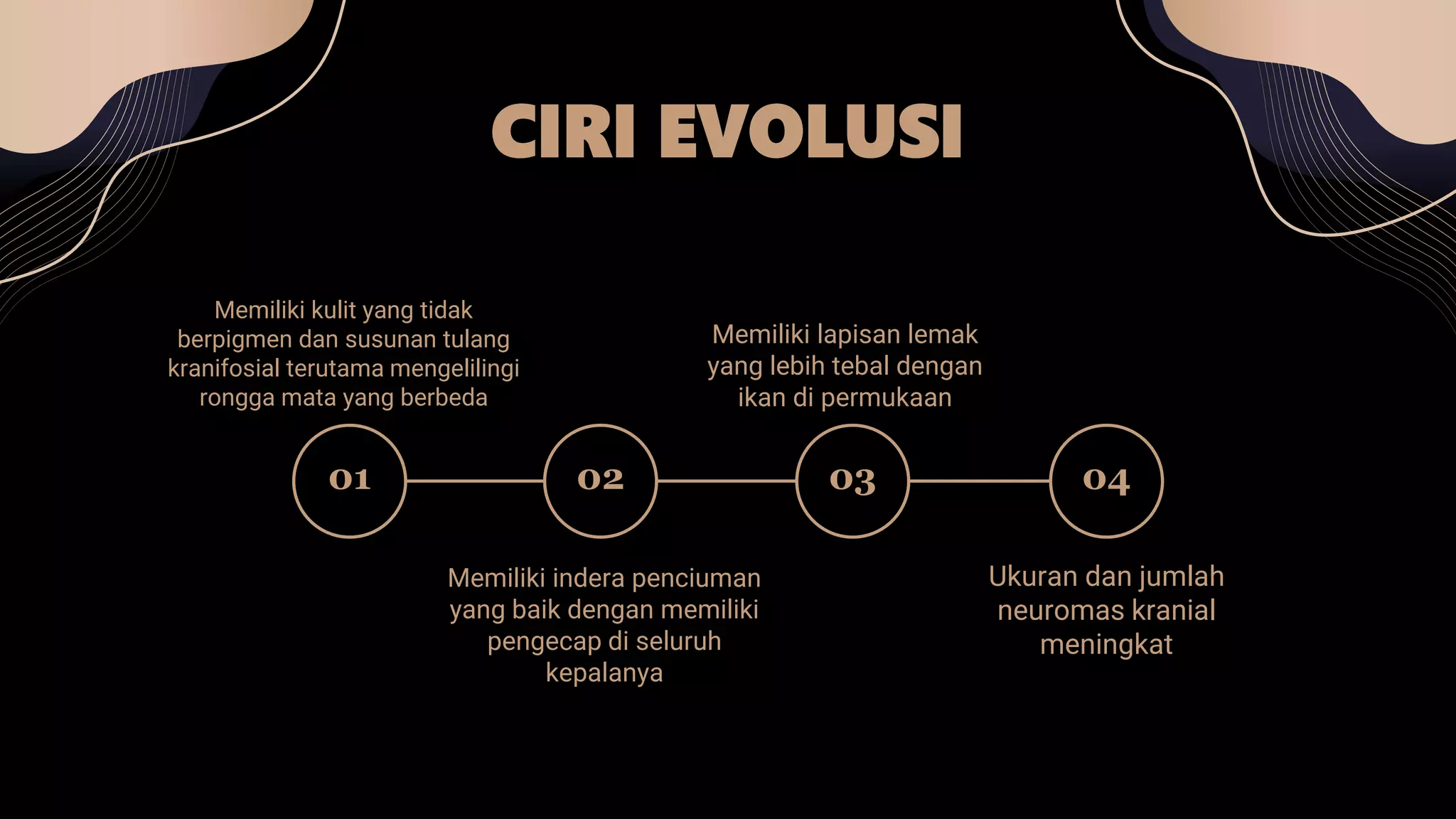 PPT EVOLUSI KEL 6.pptx