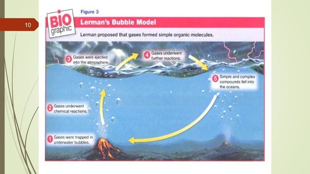 Ppt Evolution Presentation Sciences Evolution Ppt