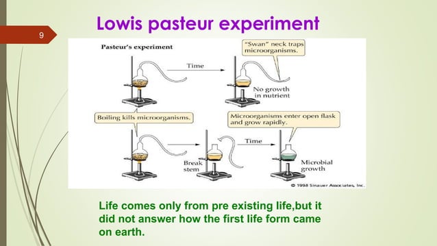 Ppt Evolution Presentation Sciences Evolution Ppt