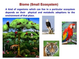 Comprehensive Overview of Environmental Science: Ecosystems ...