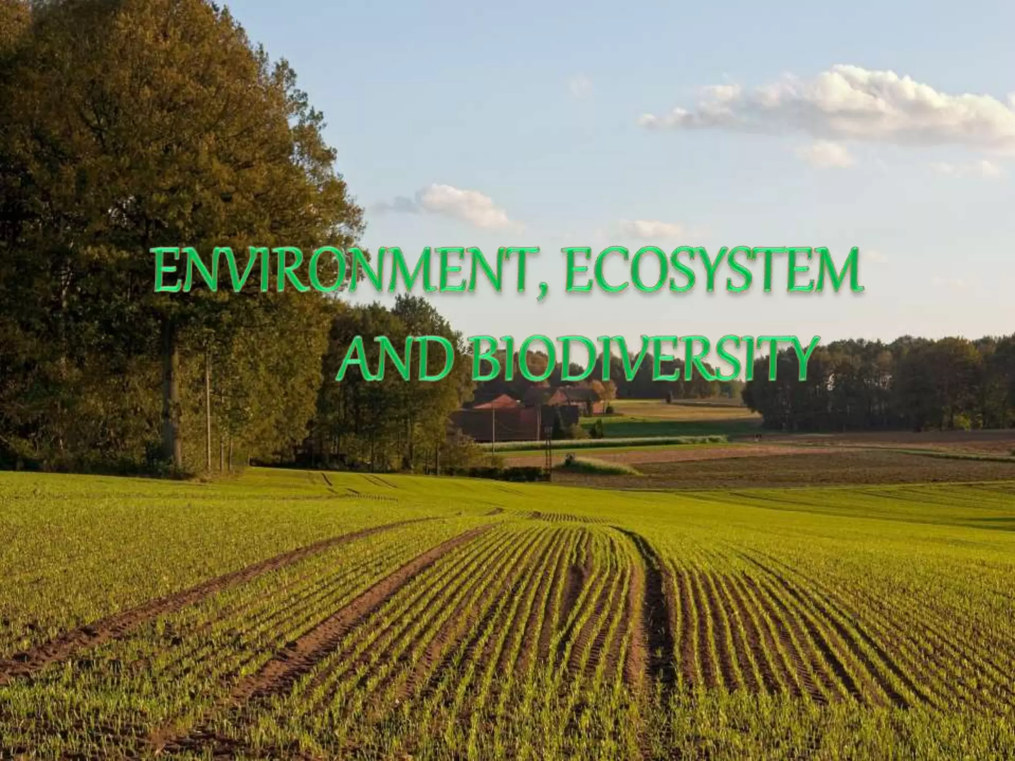 environment , ecosystem and biodiversity | PPTX
