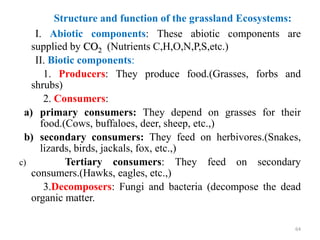 environment , ecosystem and biodiversity | PPTX