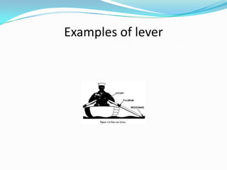 Examples of lever | PPTX