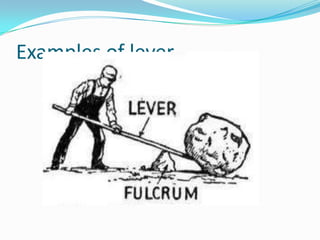 Examples of lever | PPTX