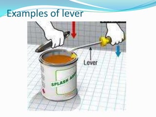 Examples of lever | PPTX
