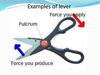 Examples of lever | PPTX