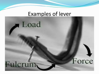 Examples of lever | PPTX