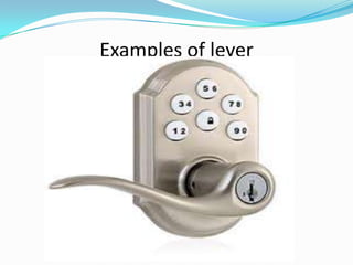 Examples of lever | PPTX
