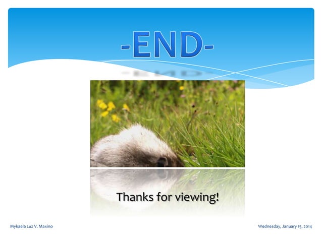 Powerpoint Exercise 1 | PPT