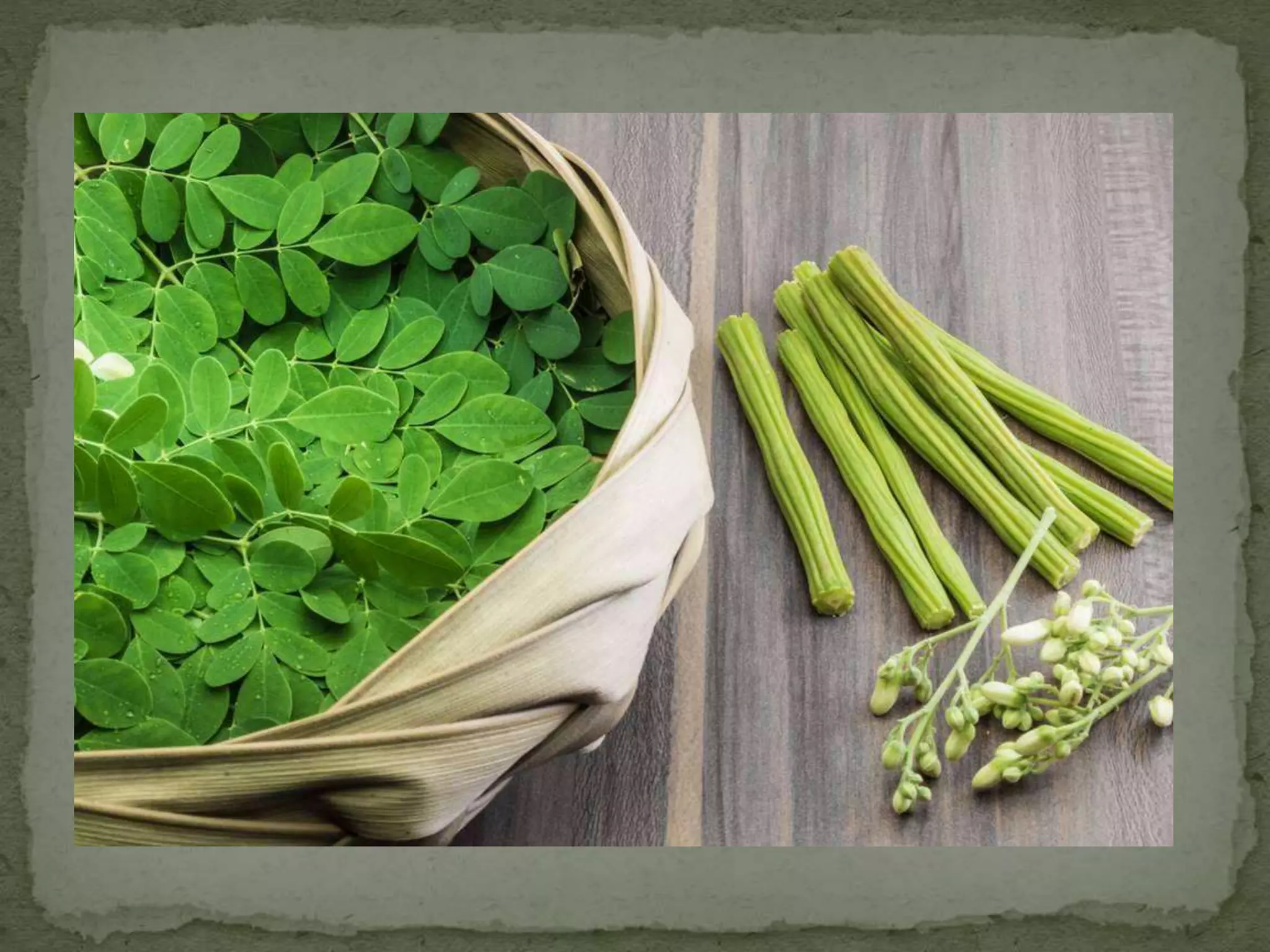 MORINGA AND ITS BENEFITS | PPTX