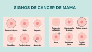 Cáncer De Cuello Uterino Qué Es Como Prevenir Pdf