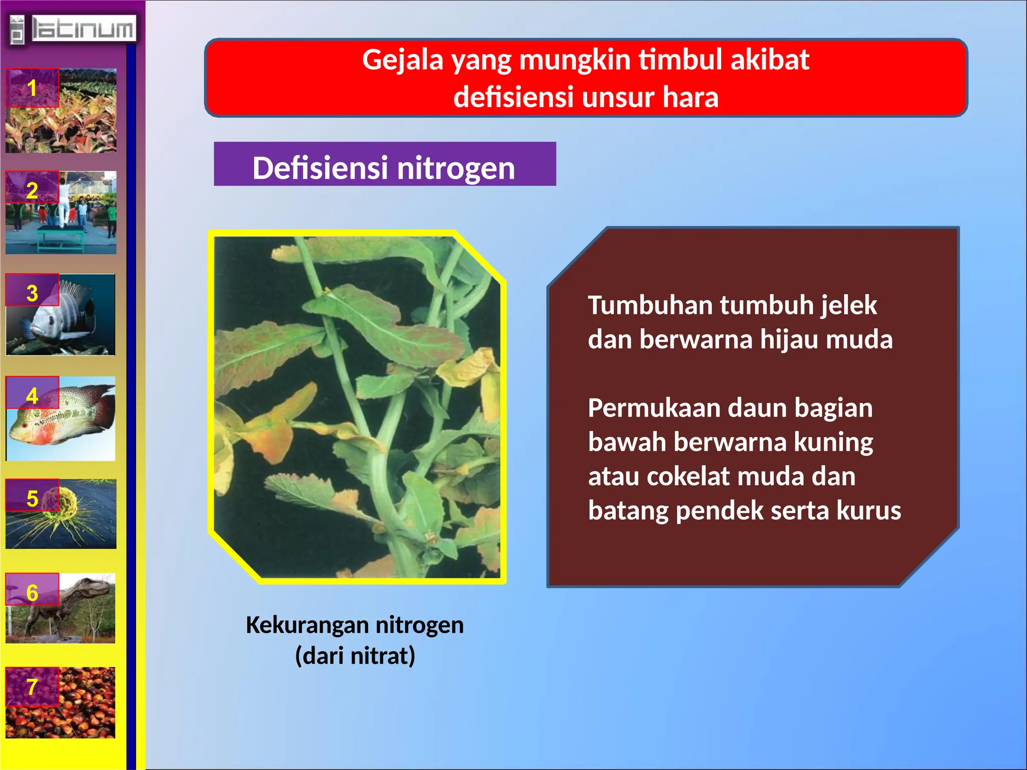 PPT Faktor Pertumb & Perkembgn Tmn_20240911_071329-WPS Office.pptx