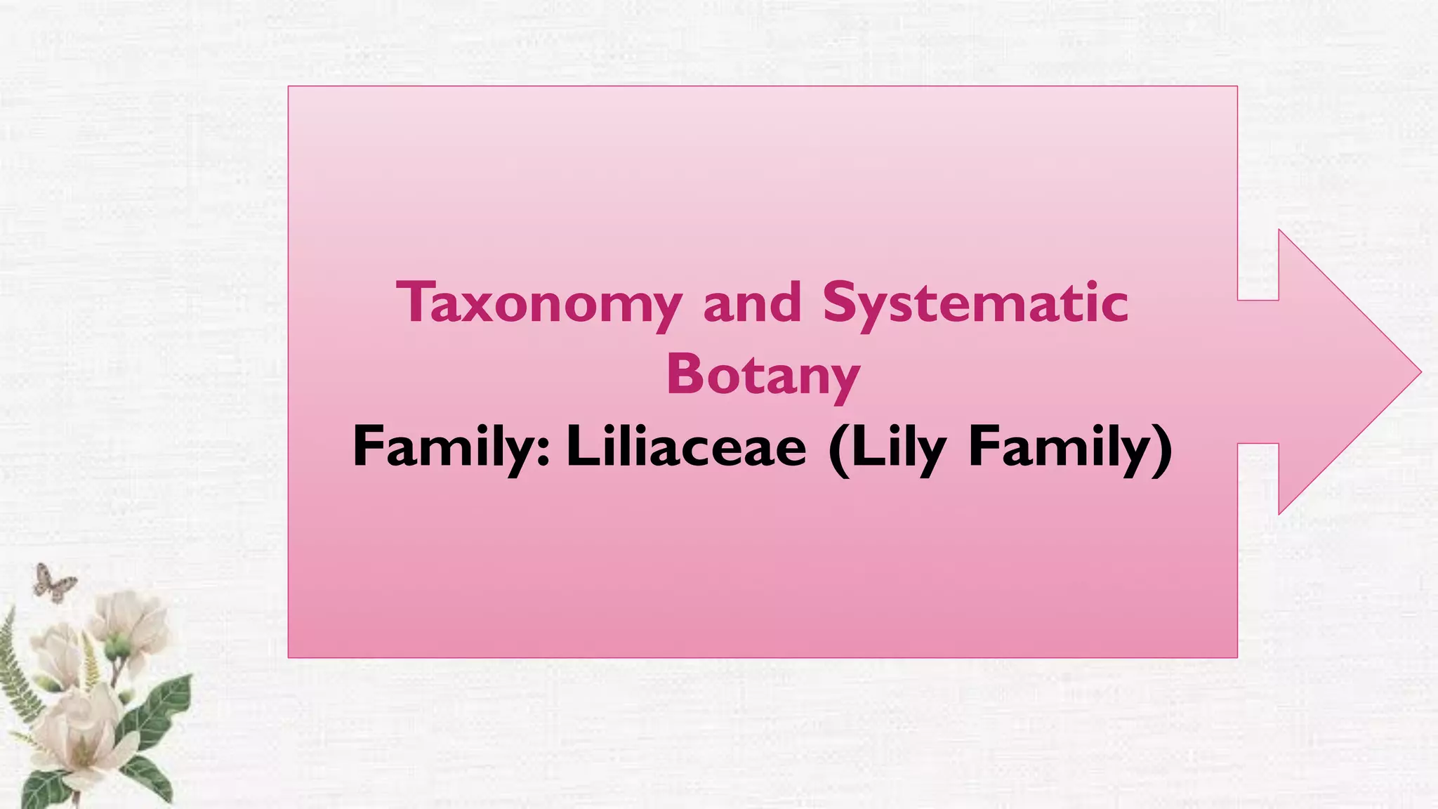 family liliaceae | PDF