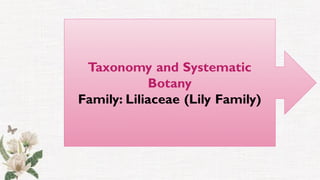 family liliaceae | PDF
