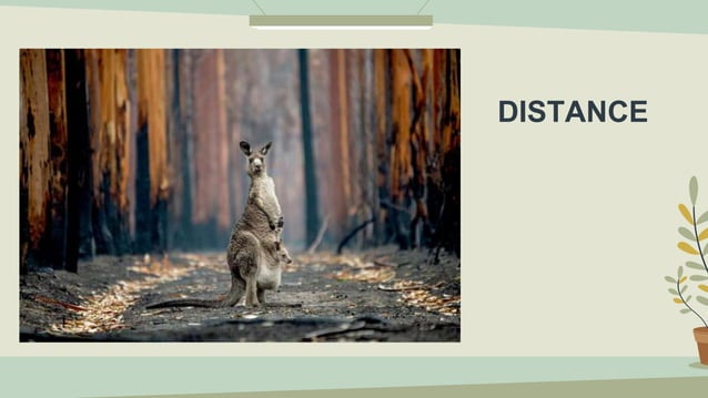 PPT(FAMOUS PHOTOGRAPHERS).pptx | Fine Art Photography | Fine Art