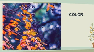 PPT(FAMOUS PHOTOGRAPHERS).pptx