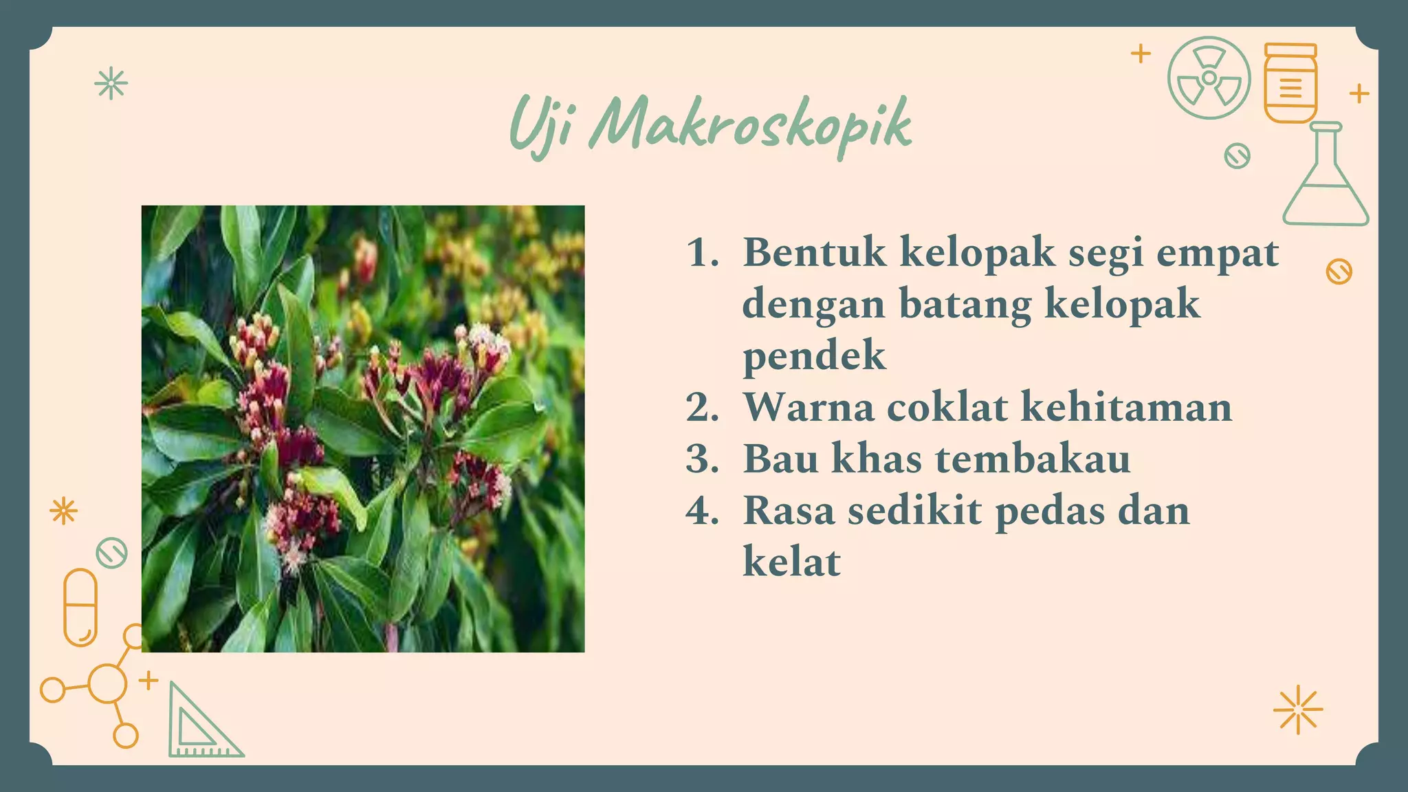 PPT FARMAKOGNOSI UJI MAKRO, MIKRO dan Pembuatan Sediaan Simplisia Daun ...