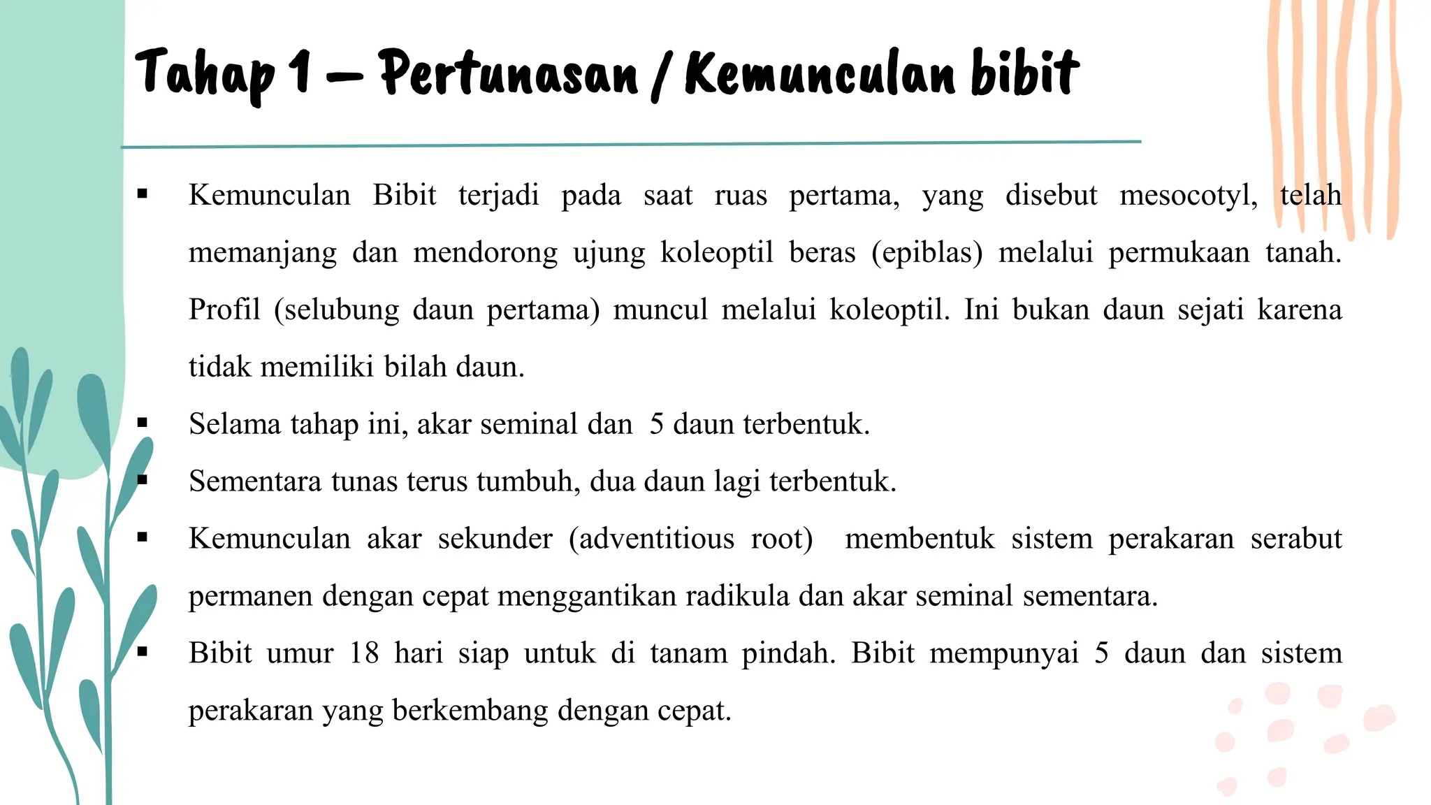 Presentasi mengenai Fase pertumbuhan pada Tanaman Padiptx | PPTX