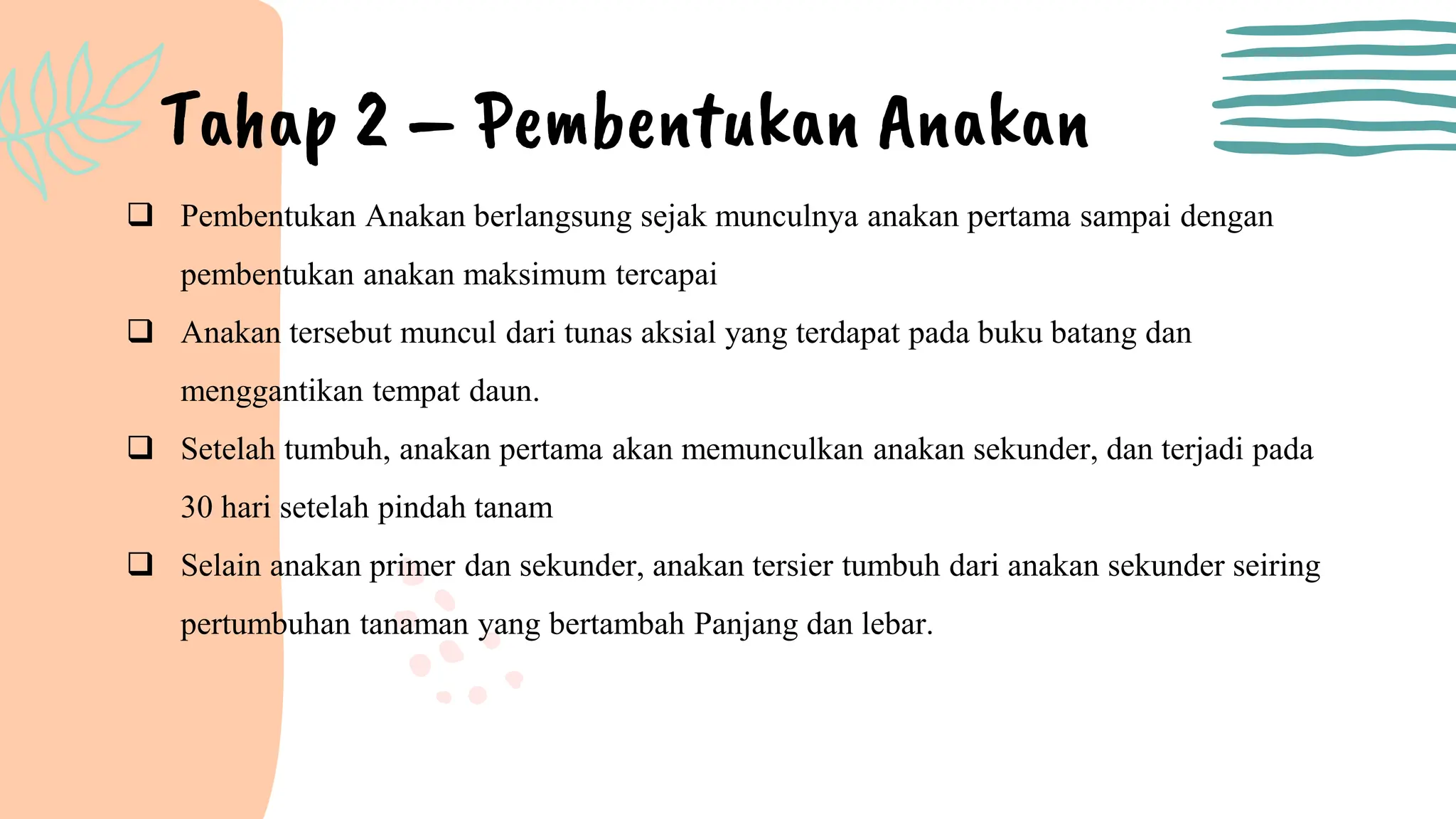 Presentasi mengenai Fase pertumbuhan pada Tanaman Padiptx | PPTX