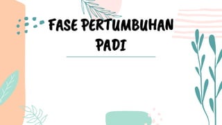 Presentasi mengenai Fase pertumbuhan pada Tanaman Padiptx | PPT