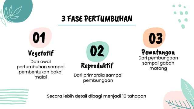 Presentasi mengenai Fase pertumbuhan pada Tanaman Padiptx | PPTX