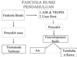 Ppt faskiola buski dellavita | PPT