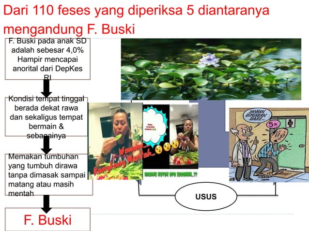 Ppt faskiola buski dellavita | PPT