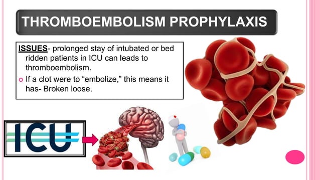 FAST HUGS BID | PPTX