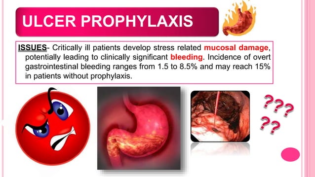 FAST HUGS BID | PPTX