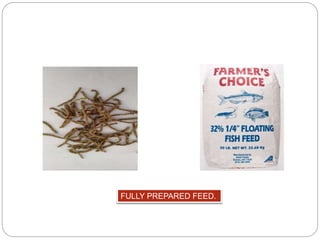FISH FEED FORMULATION & PROCESSING. | PPTX