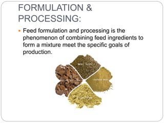 FISH FEED FORMULATION & PROCESSING. | PPT
