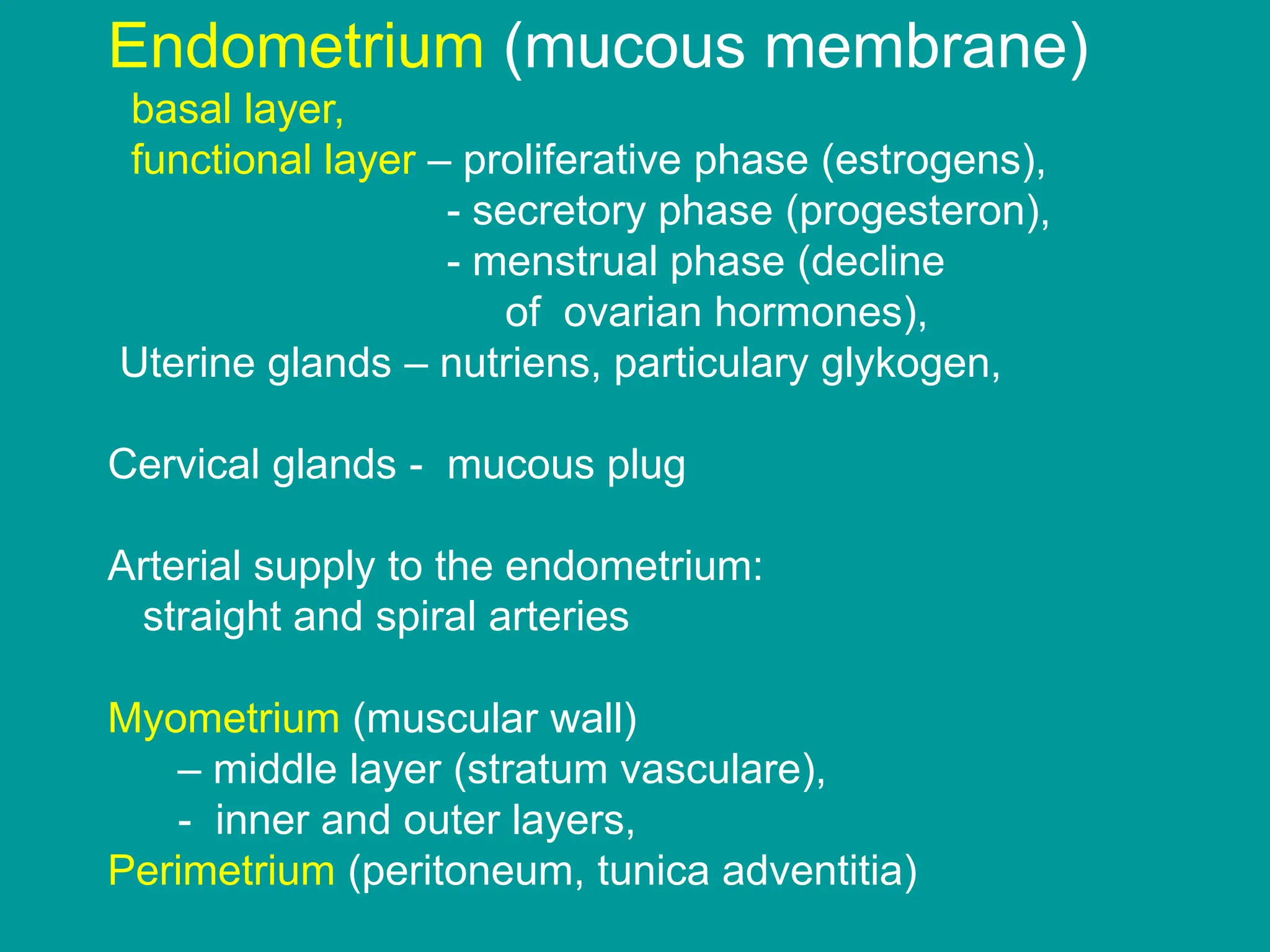 ppt female genital system reproductive system.pdf