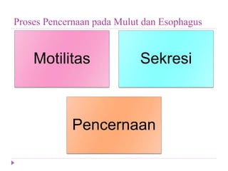 Pencernaan Pada Manusia | PPTX