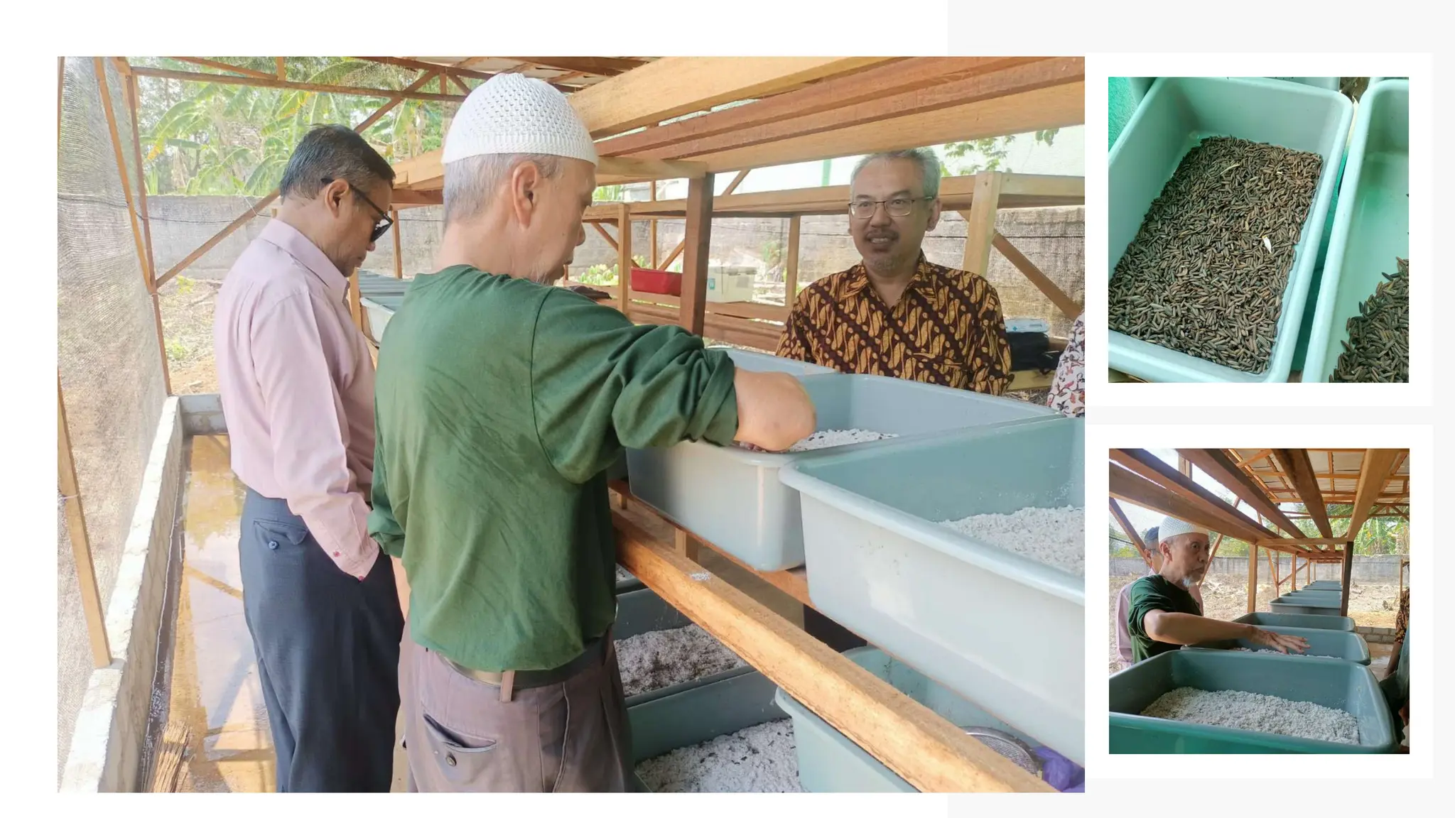 PPT FGD MAGGOT.pptx
