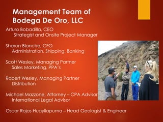 Ppt final bodega de oro | PPTX