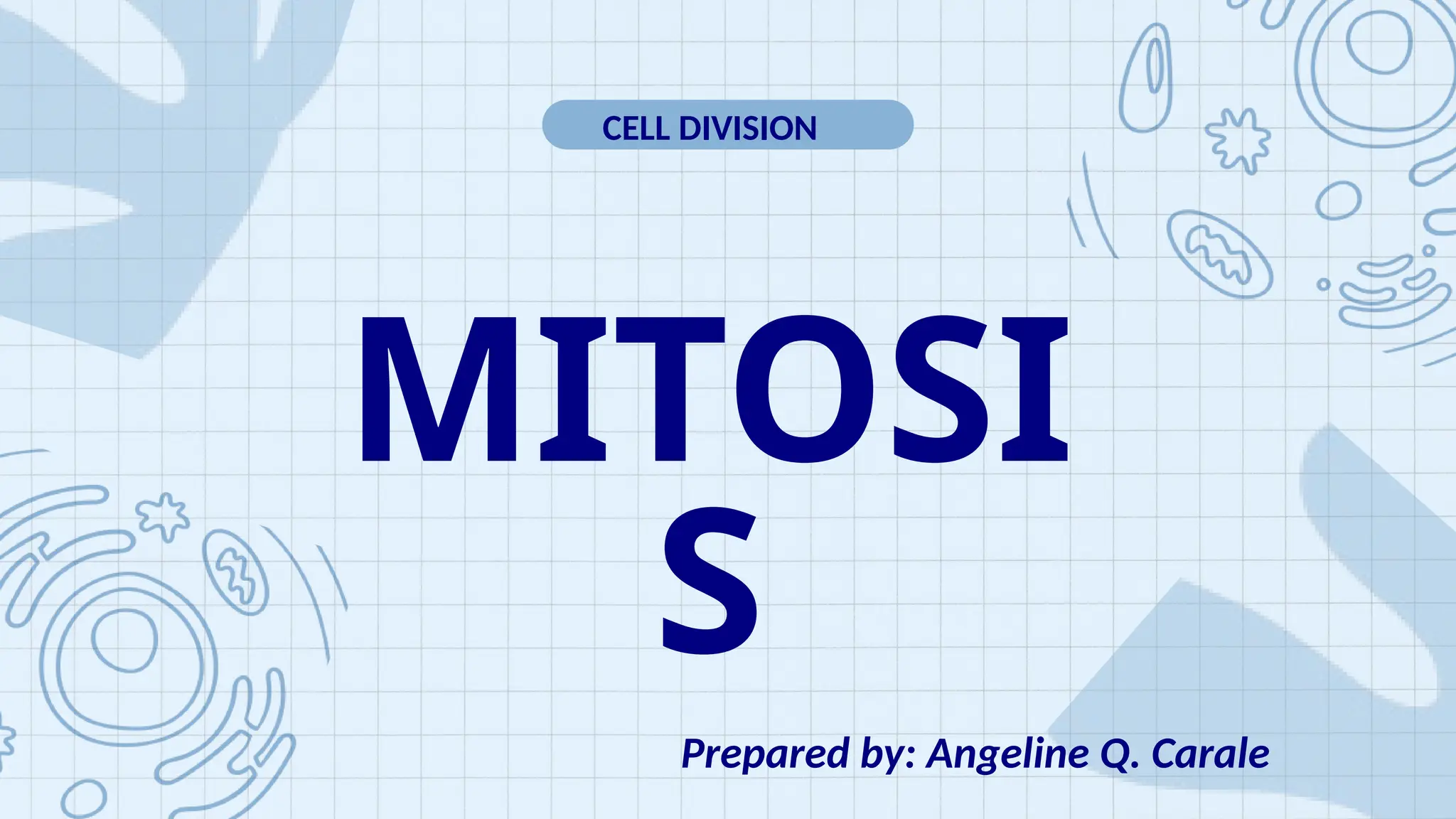 What is Mitosis?, stages of Mitosis with Elaboration and Evaluation ...