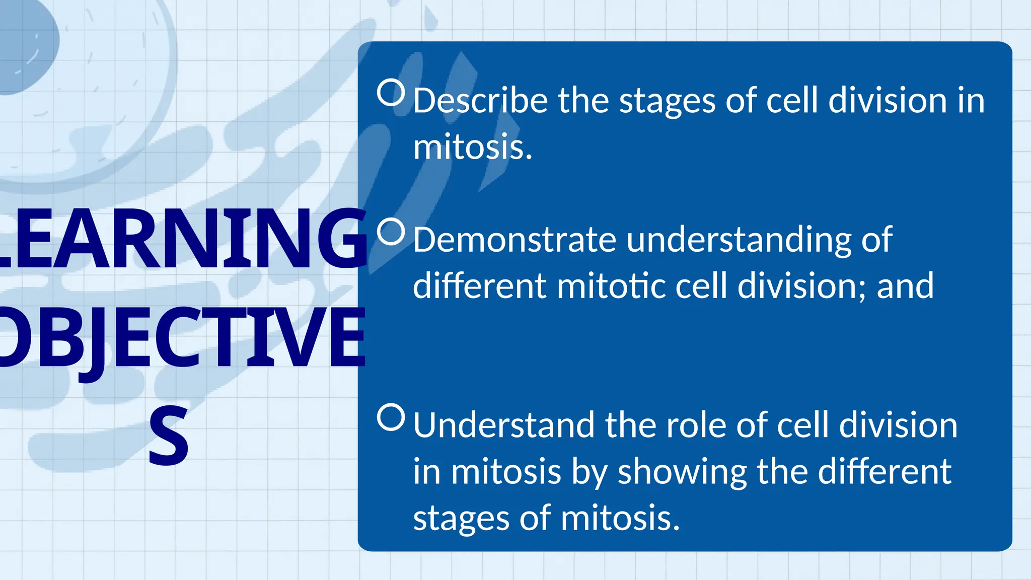 What is Mitosis?, stages of Mitosis with Elaboration and Evaluation ...