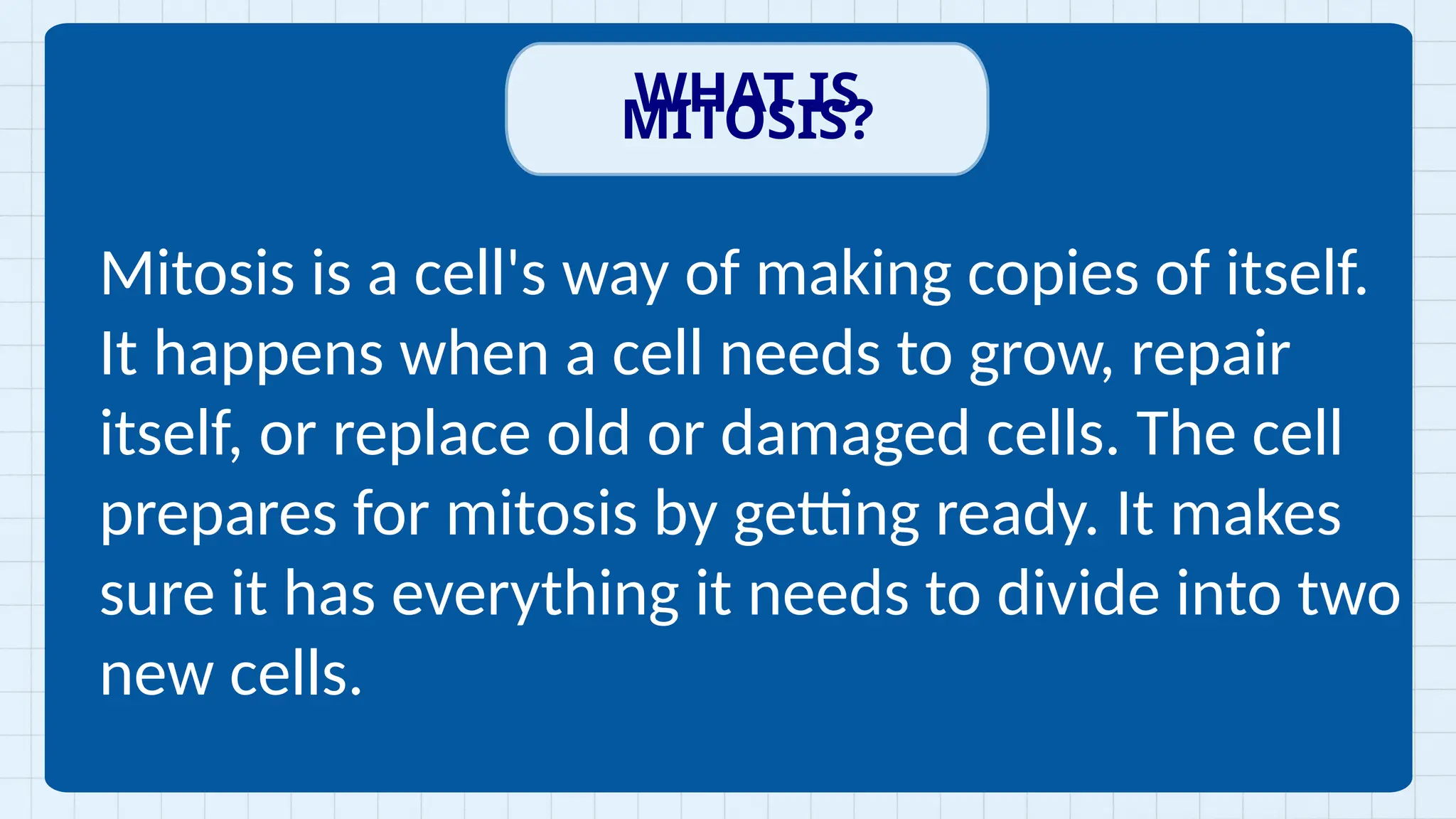 What is Mitosis?, stages of Mitosis with Elaboration and Evaluation ...