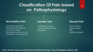 ppt final pain and pain pathways seminar | PPTX