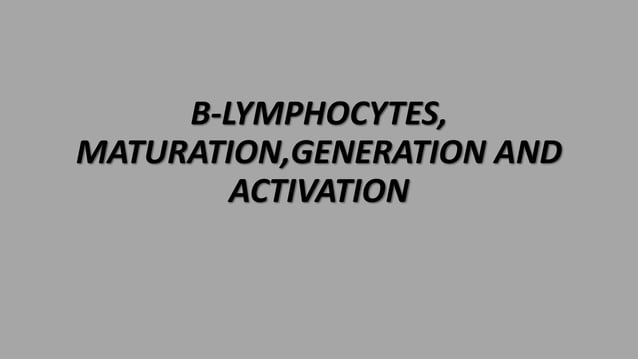 B- lymphocytes | PPTX