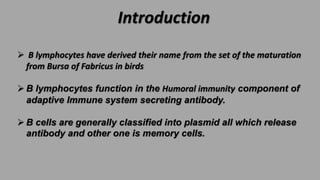 B- lymphocytes | PPTX