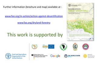 Africa’s Great Green Wall: Building Prosperity and Resilience | PPTX