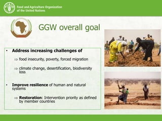 Africa’s Great Green Wall: Building Prosperity and Resilience | PPTX